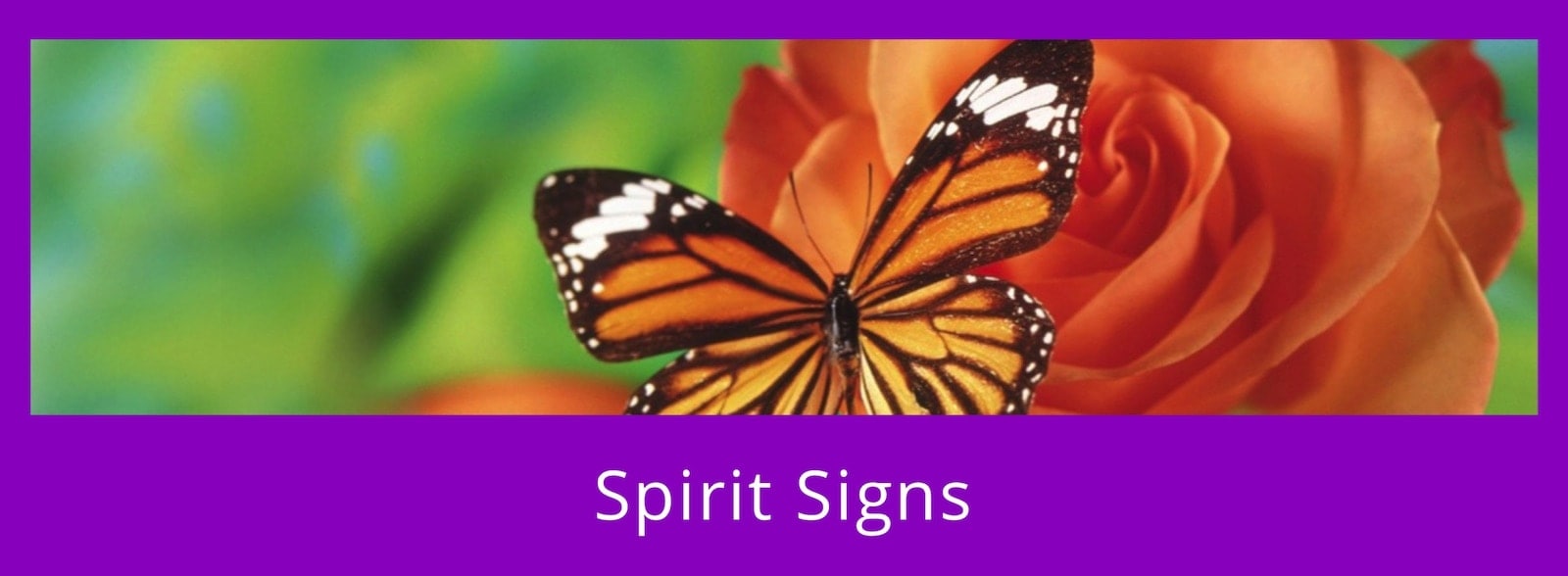 SPIRIT SIGNS - James Van Praagh
